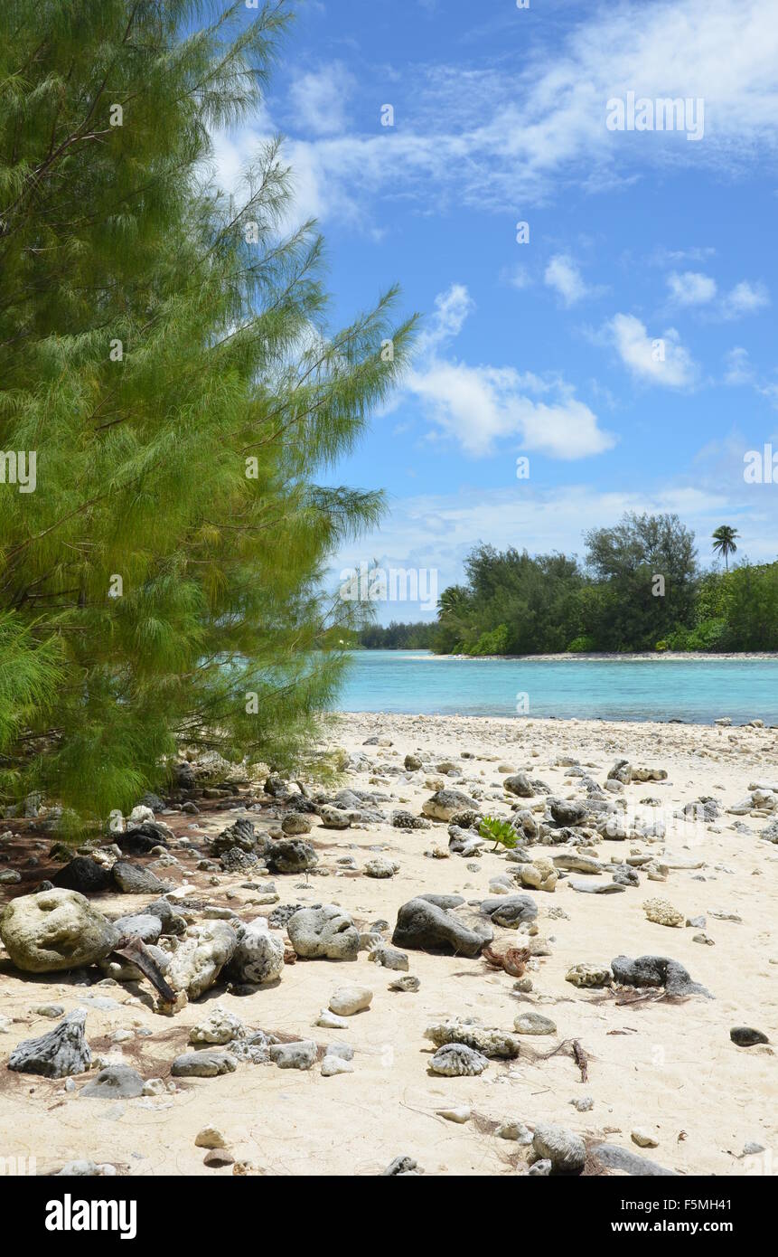 Tropical beach cook islands hi-res stock photography and images - Alamy