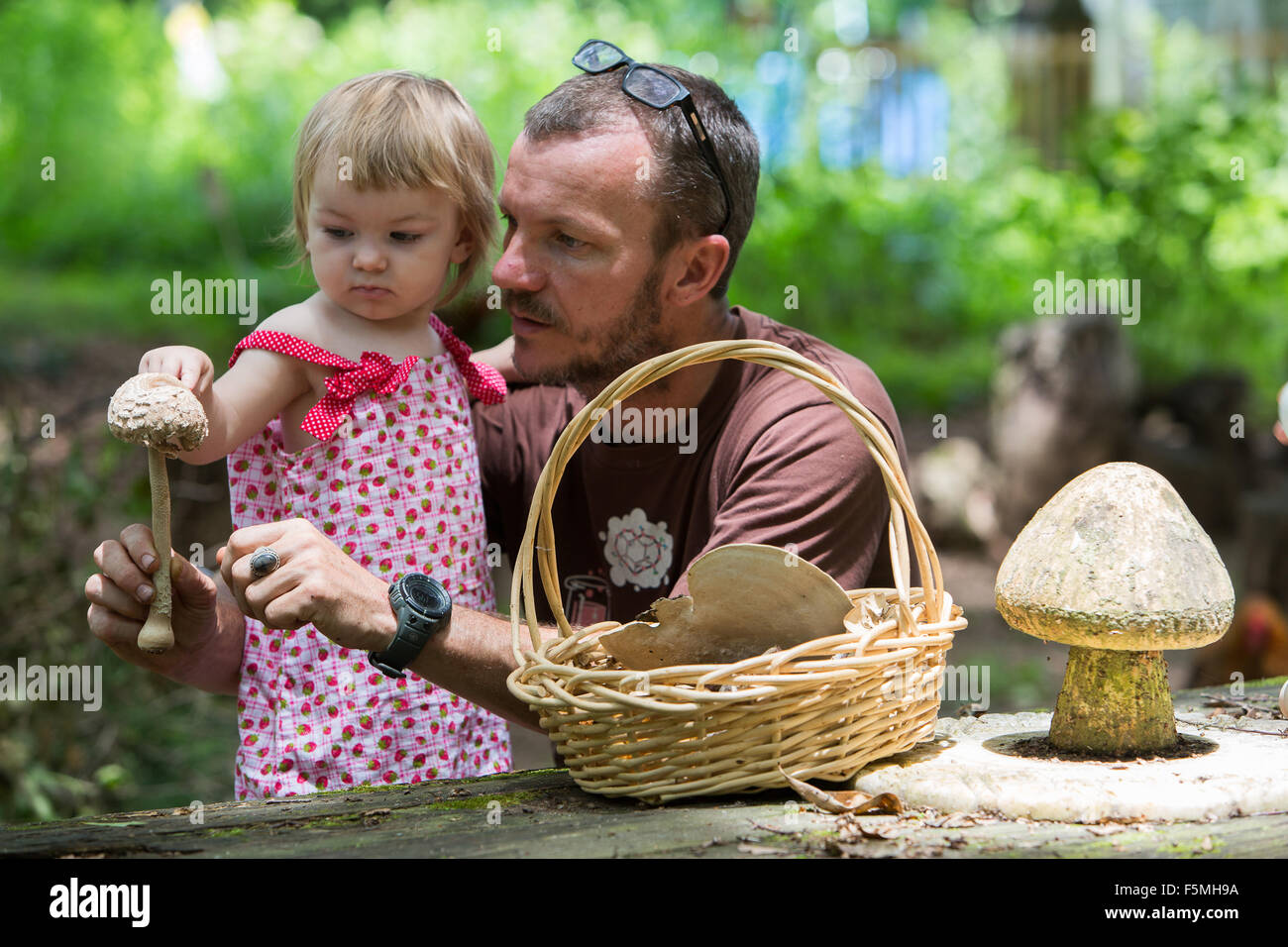 Father and daughter learning about mushrooms Stock Photo - Alamy