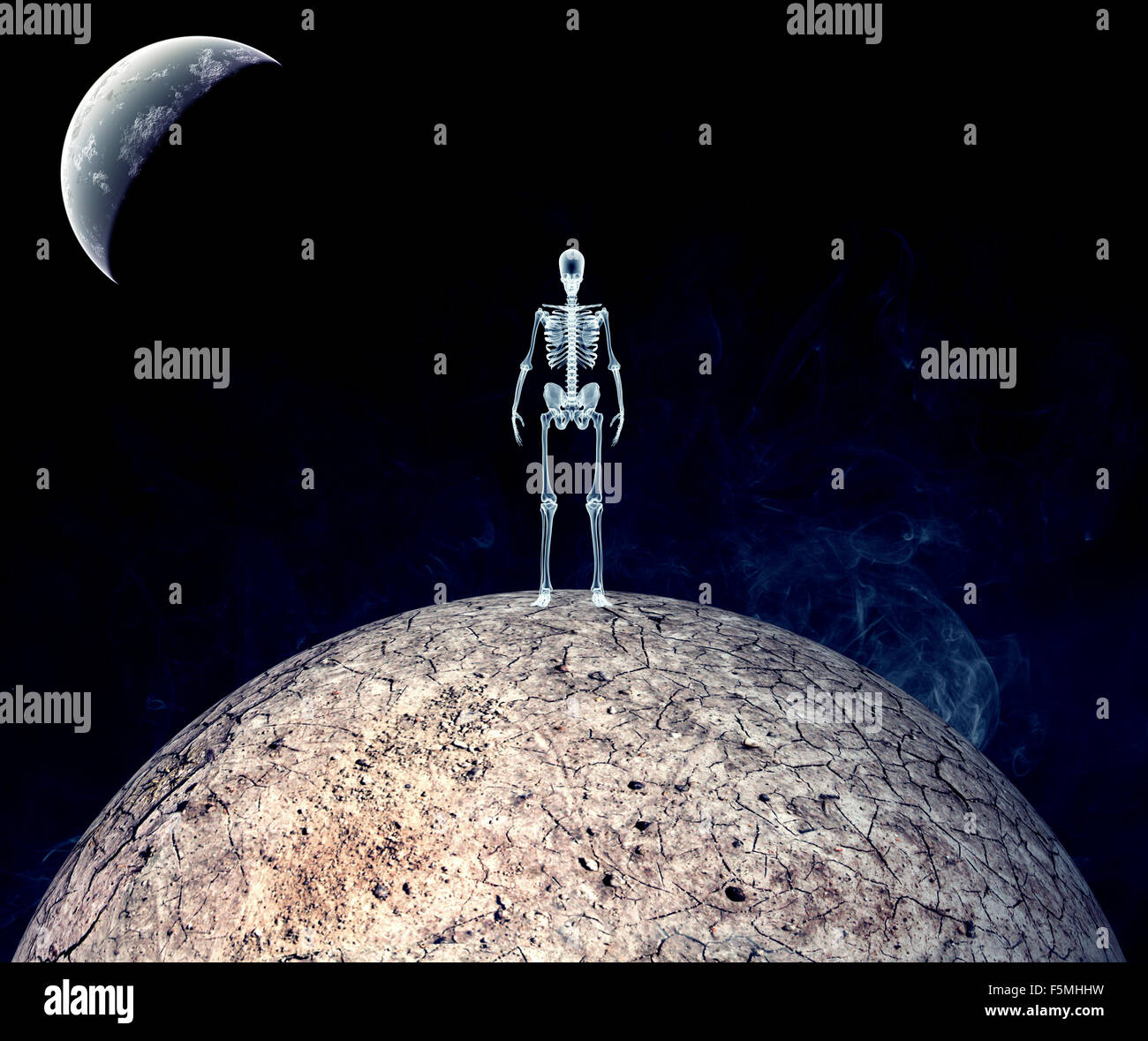 Soil skeleton hi-res stock photography and images - Alamy