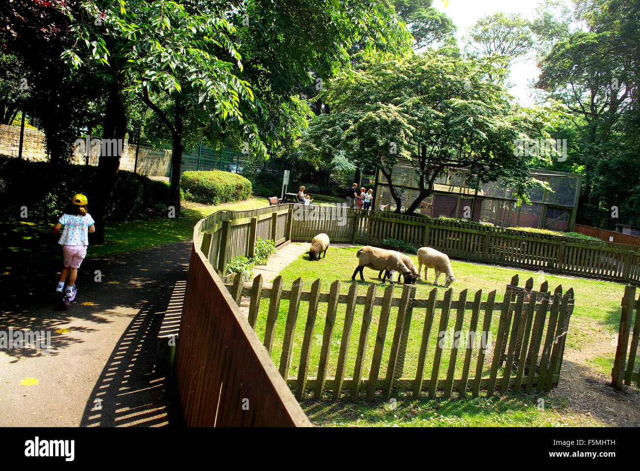 Pets corner, Jesmond Dene Stock Photo - Alamy
