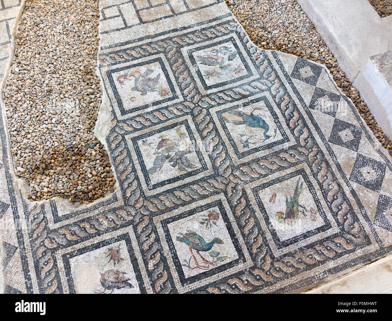 Opus sectile mosaic hi-res stock photography and images - Alamy