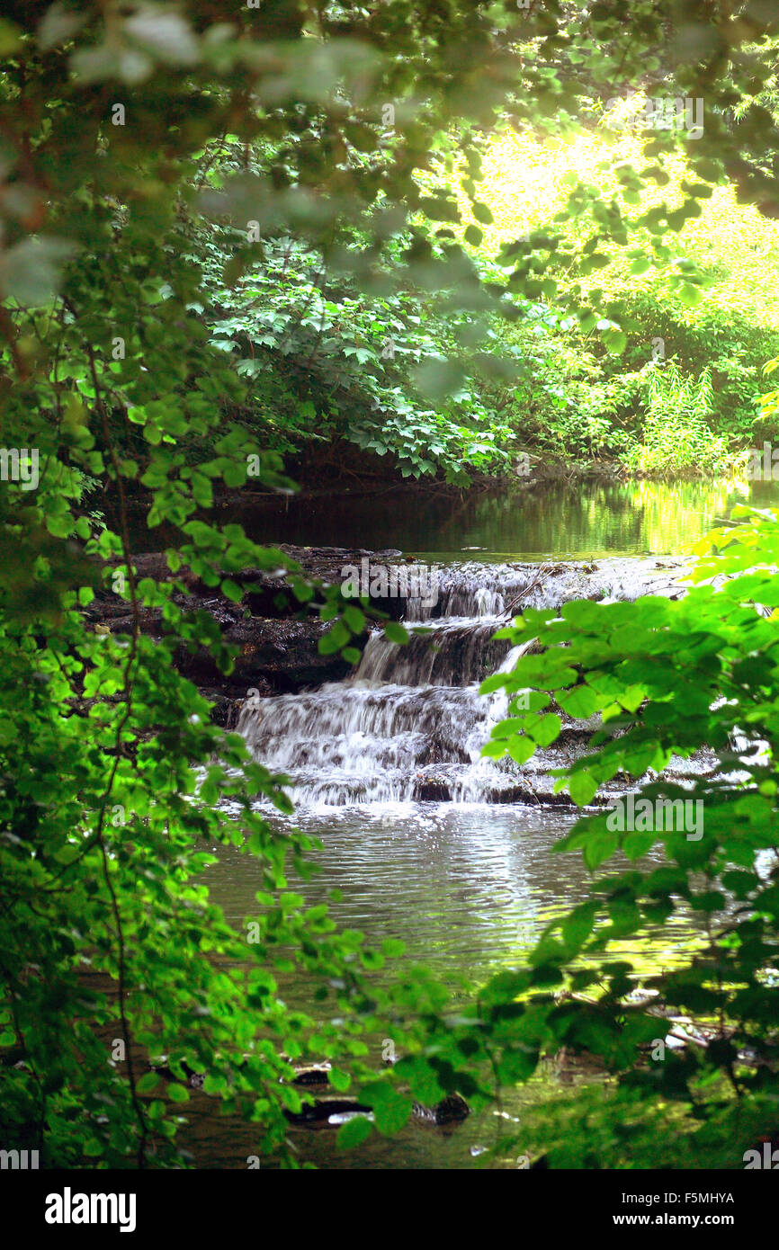 Jesmond dene waterfall hi-res stock photography and images - Alamy
