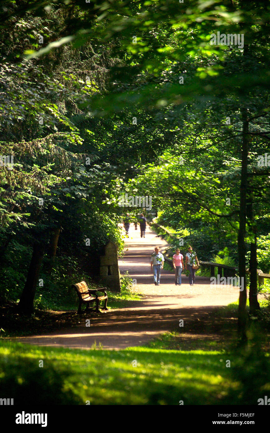 Old dene hi-res stock photography and images - Alamy