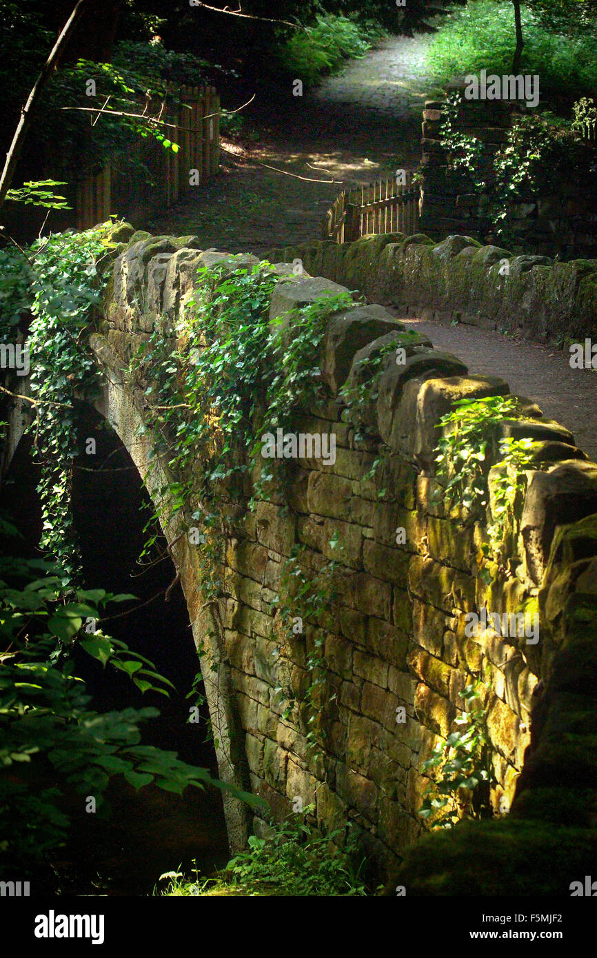 Jesmond dene summer hi-res stock photography and images - Alamy