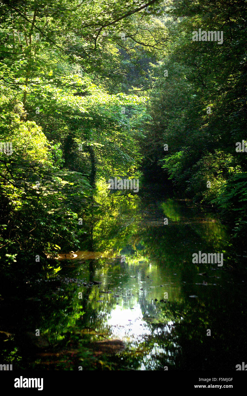 Old dene hi-res stock photography and images - Alamy