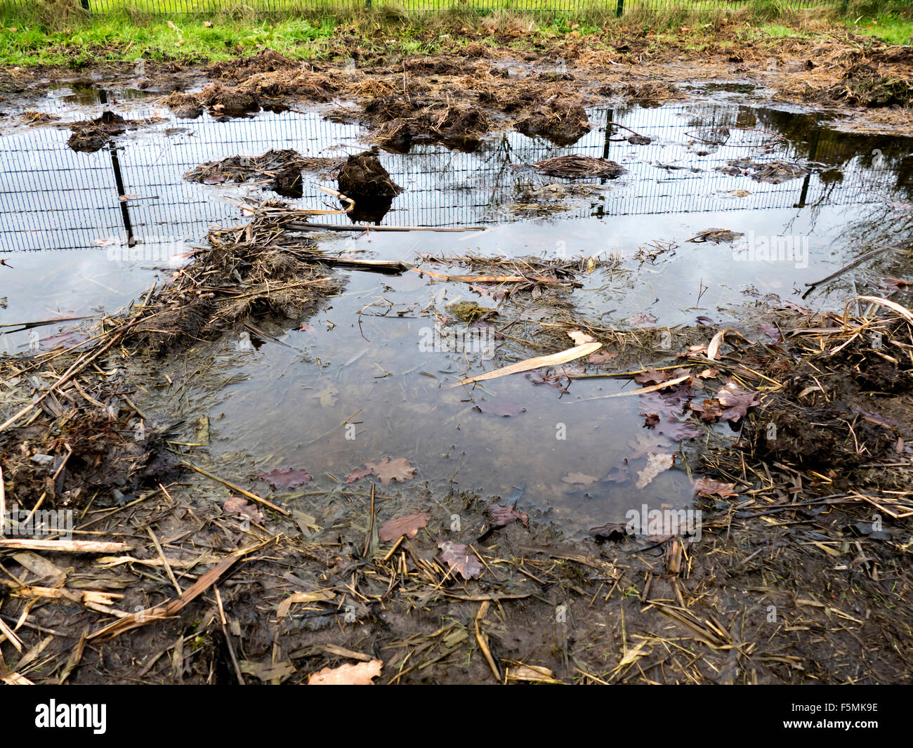 Dirty muddy brown water hi-res stock photography and images - Alamy