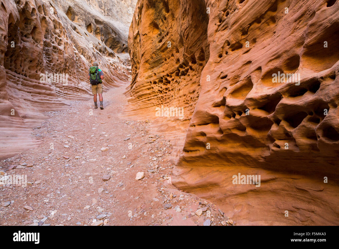 Honeycomb formations hi-res stock photography and images - Alamy
