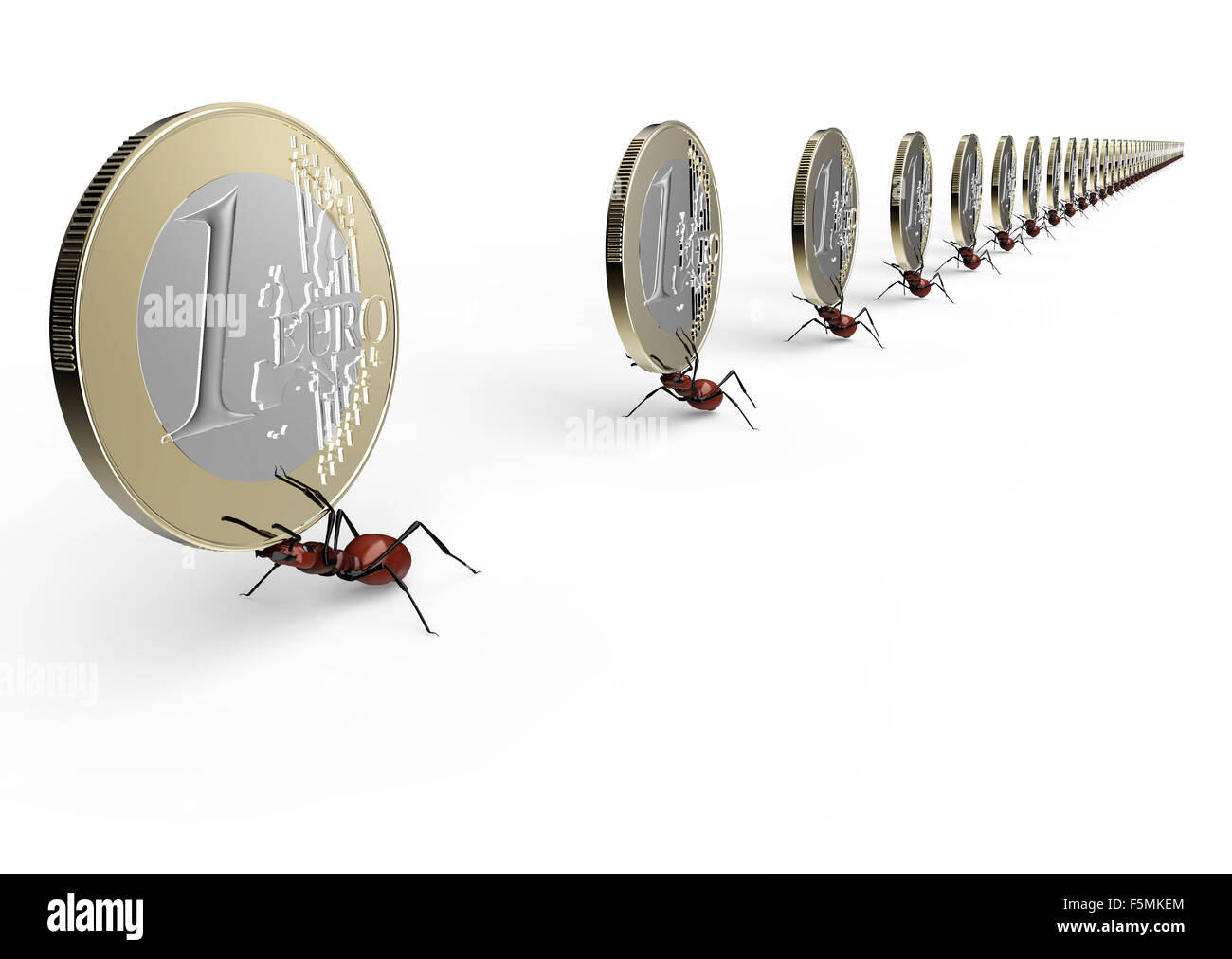 Black ant illustration hi-res stock photography and images - Alamy