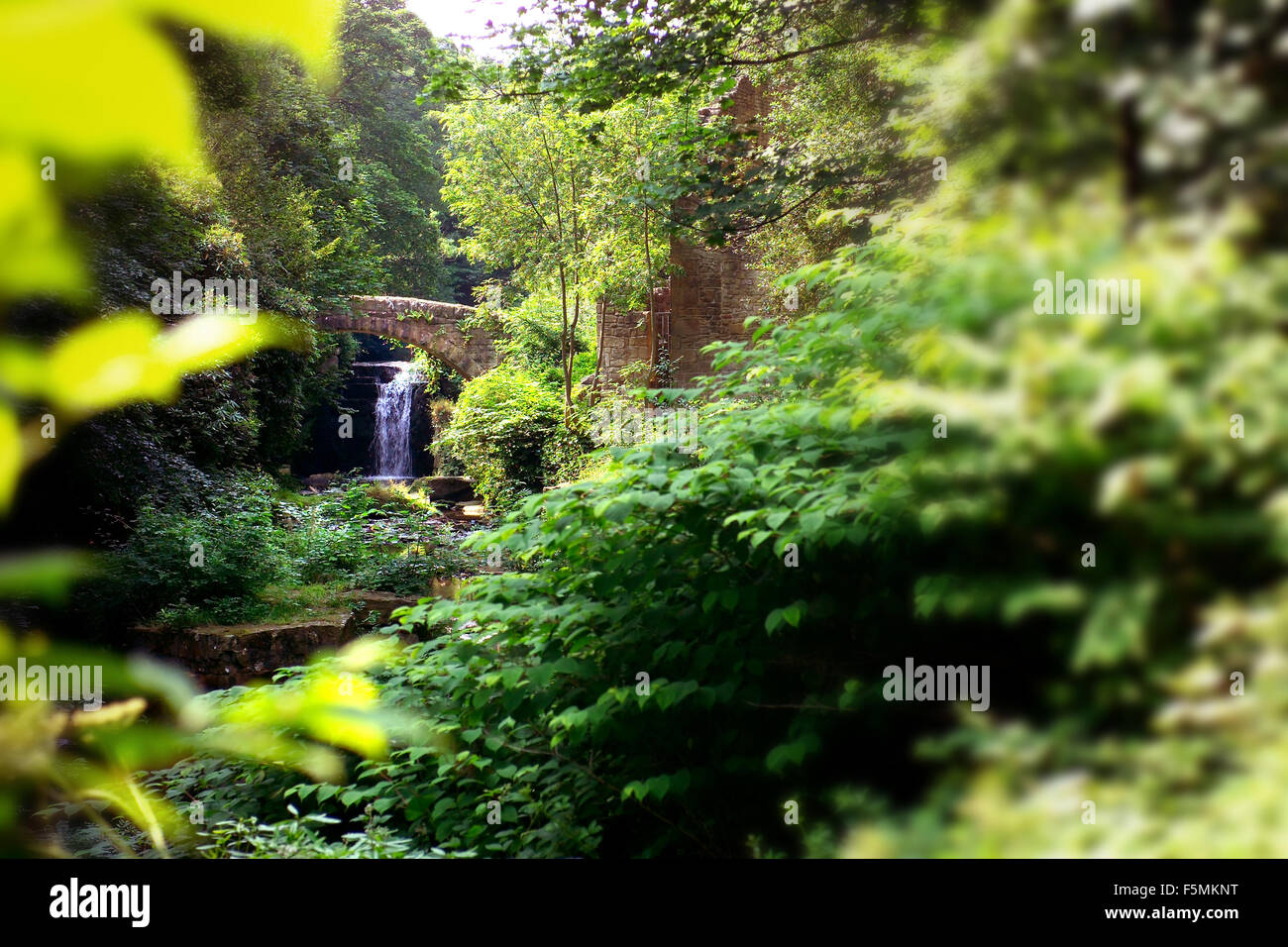 Jesmond dene waterfall hi-res stock photography and images - Alamy