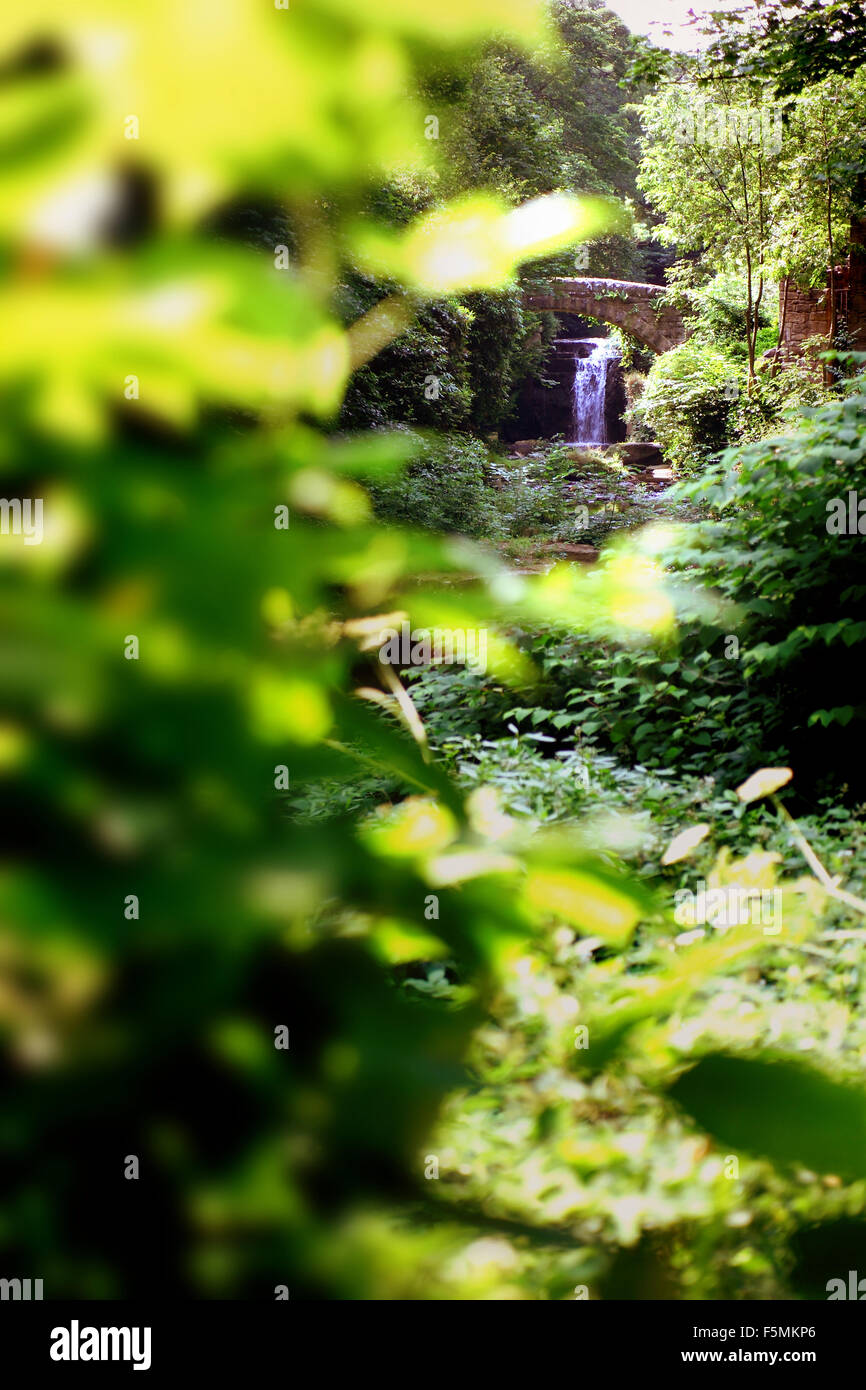 Jesmond dene waterfall hi-res stock photography and images - Alamy