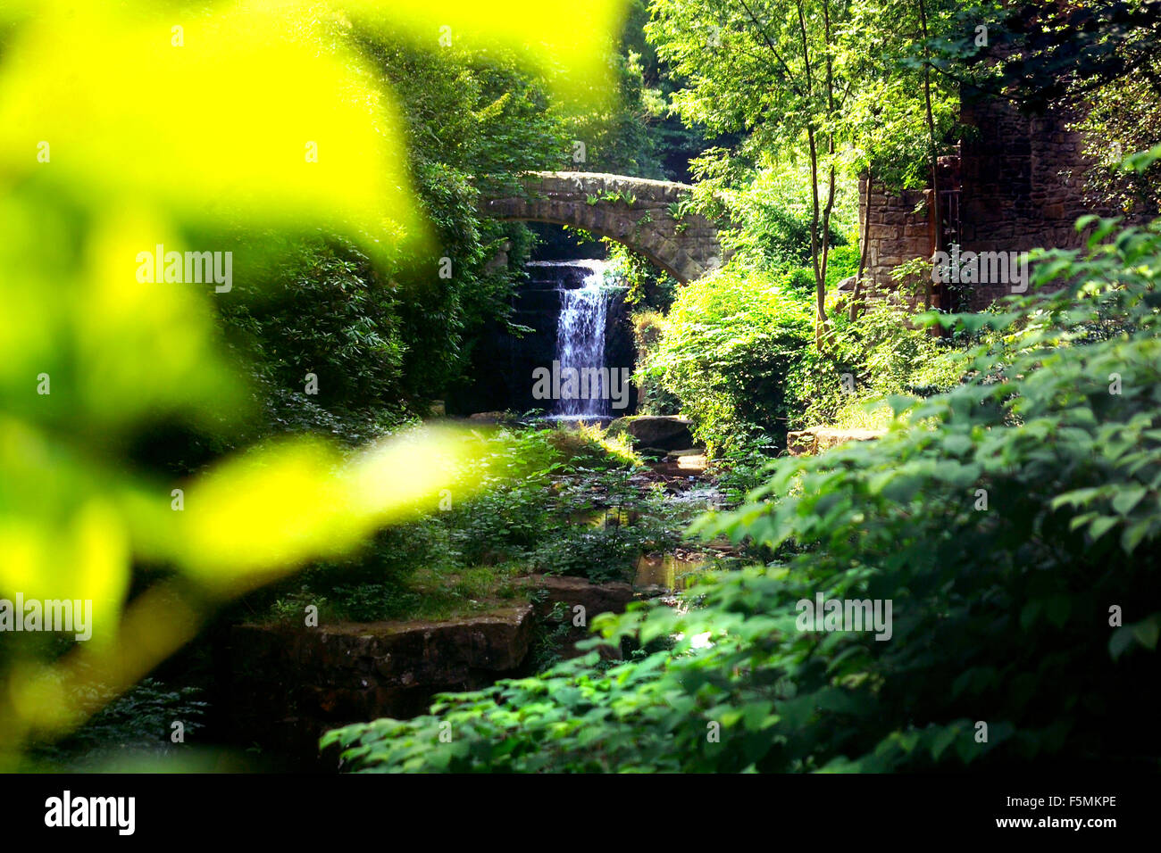 Old dene hi-res stock photography and images - Alamy