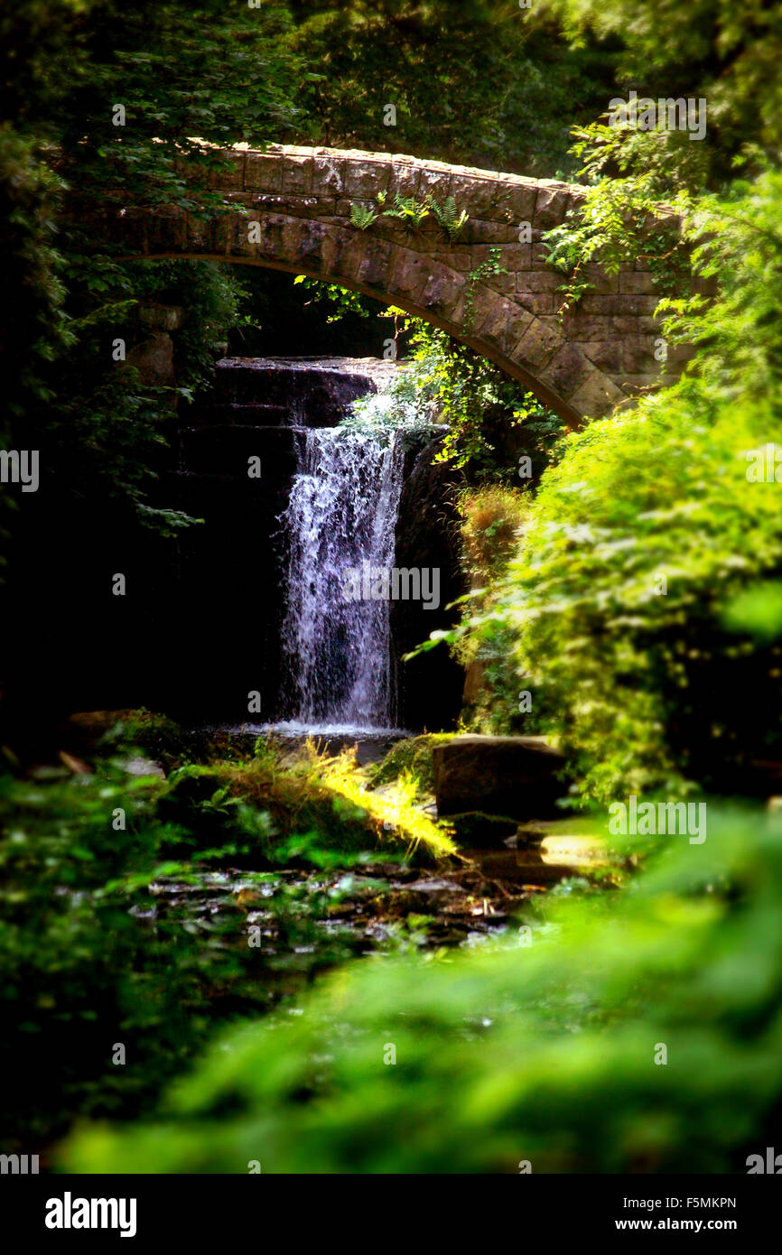 Jesmond dene waterfall hi-res stock photography and images - Alamy