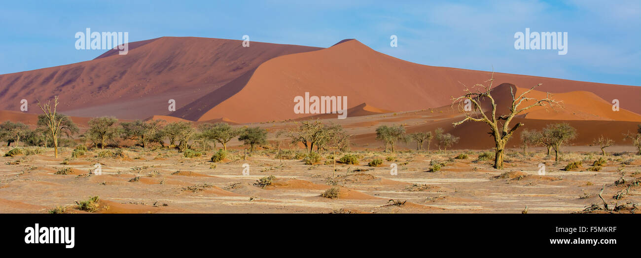 Red desert dunes at Sossusvlei in Namibia at the Naukluft / Namib ...