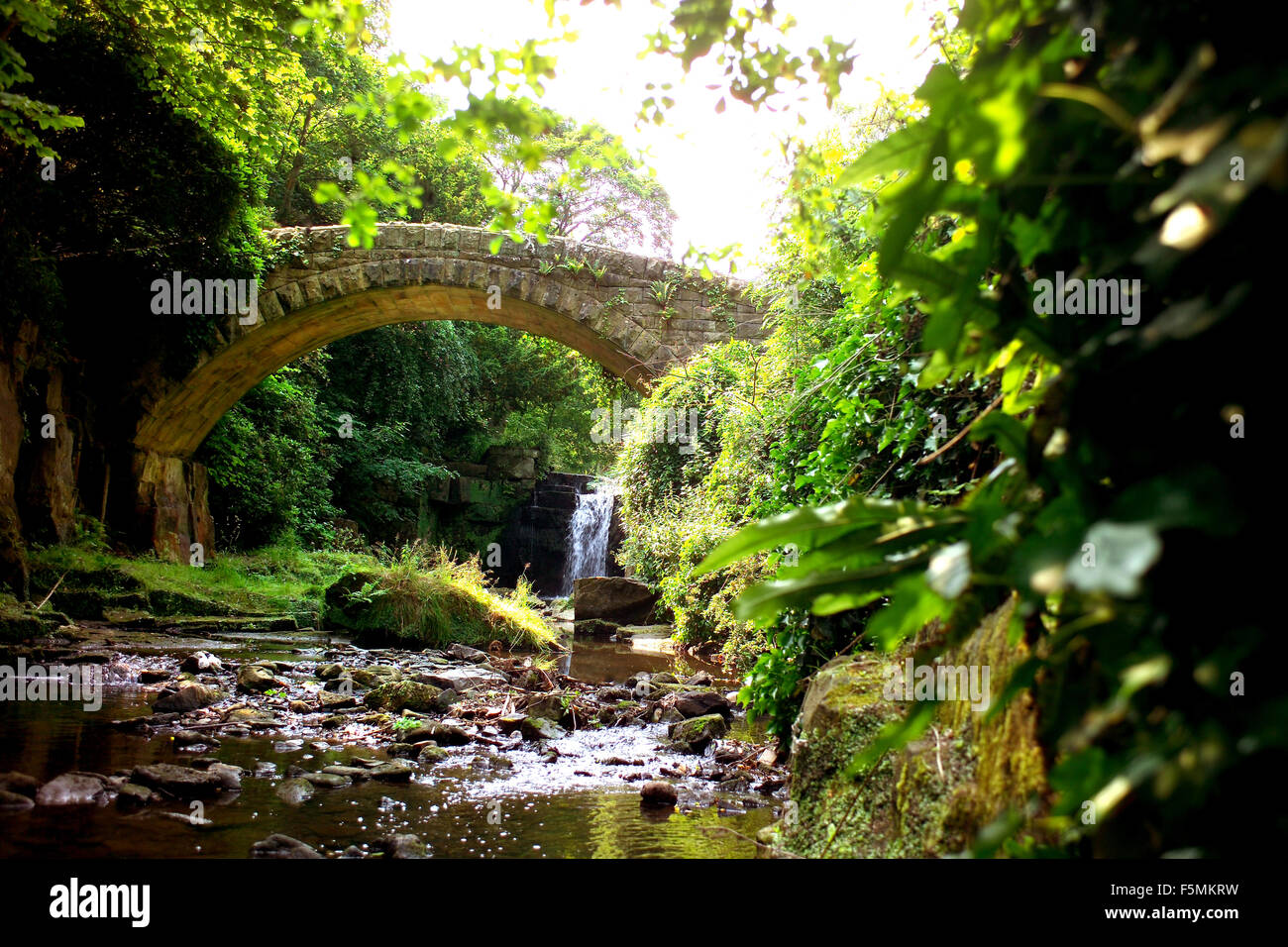 Old dene hi-res stock photography and images - Alamy