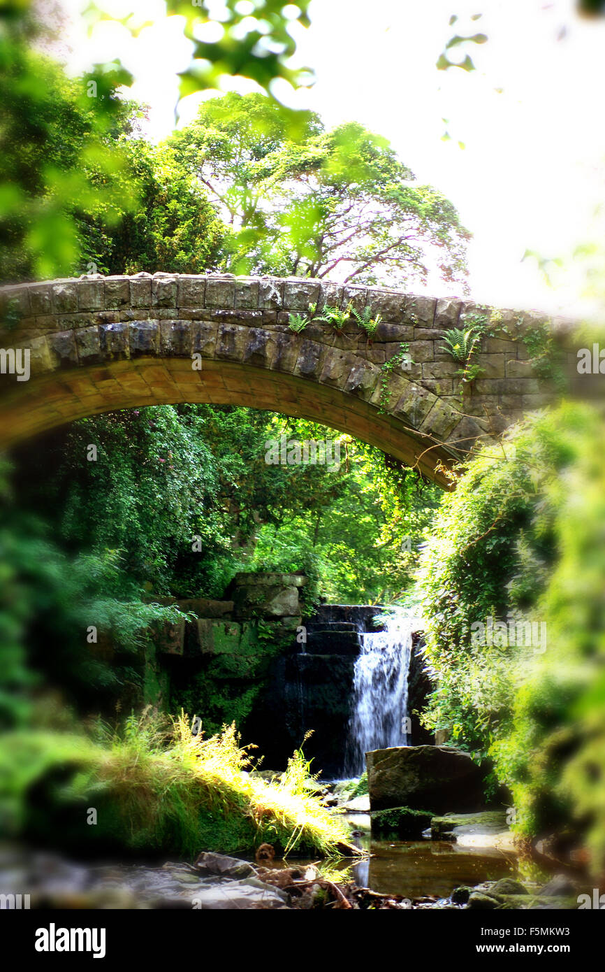 Jesmond dene summer hi-res stock photography and images - Alamy