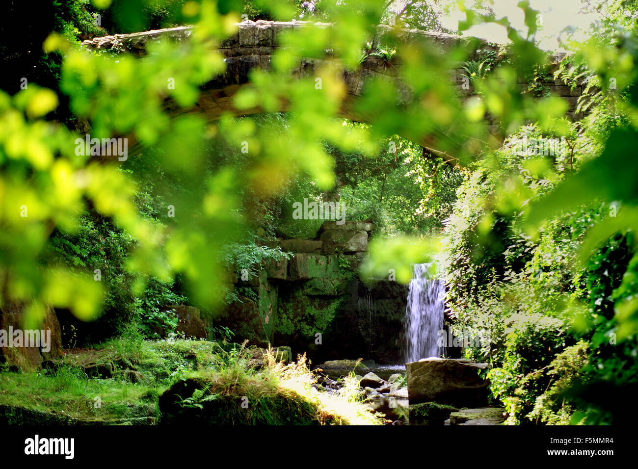 Jesmond dene waterfall hi-res stock photography and images - Alamy