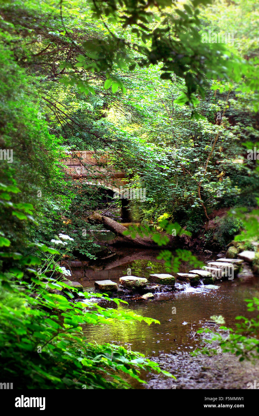 Jesmond dene summer hi-res stock photography and images - Alamy