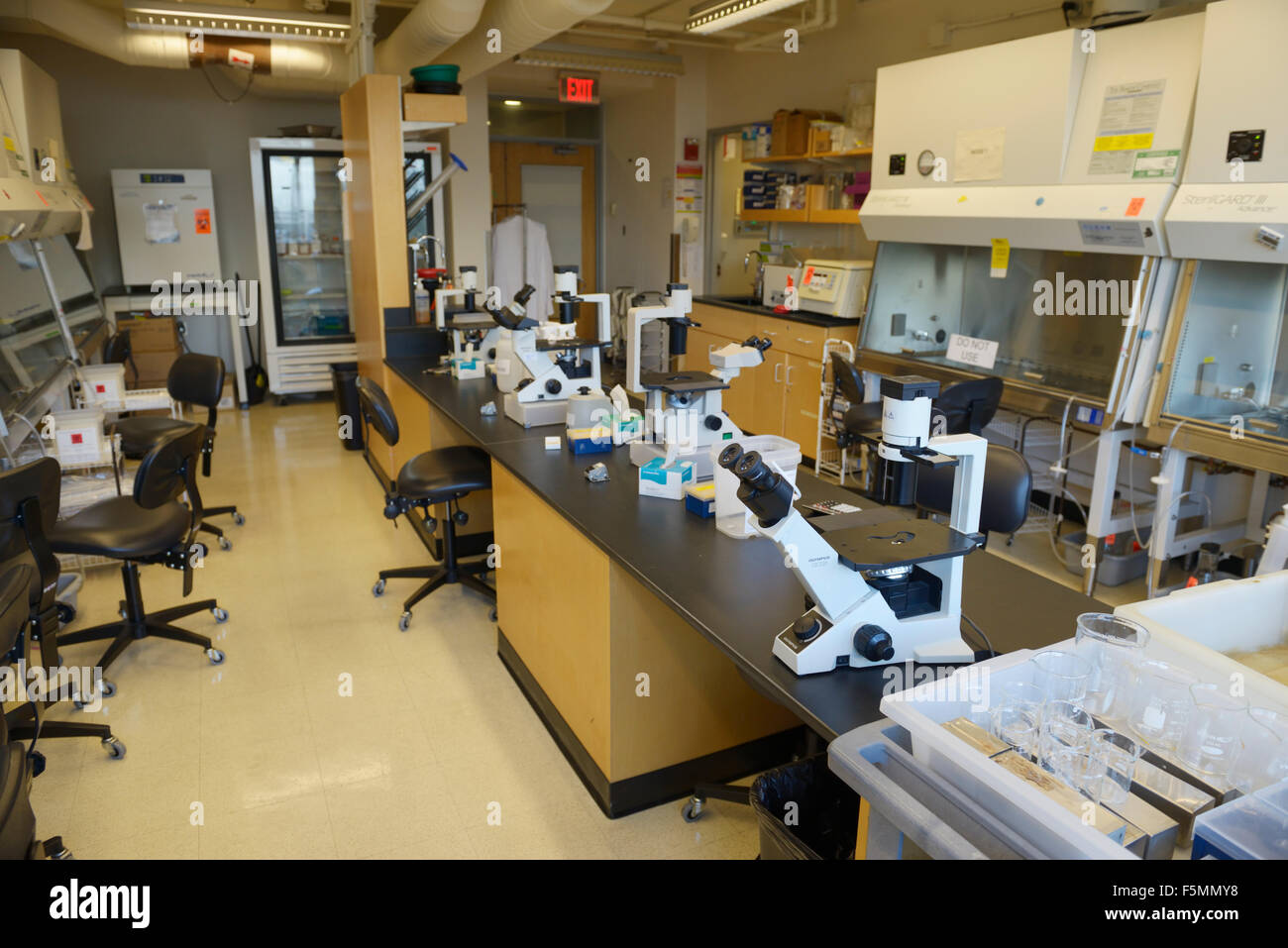 Biotechnology research lab for working with tissue cultures MIT Stock ...
