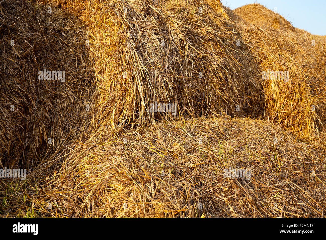 Stack of straw Stock Photo - Alamy