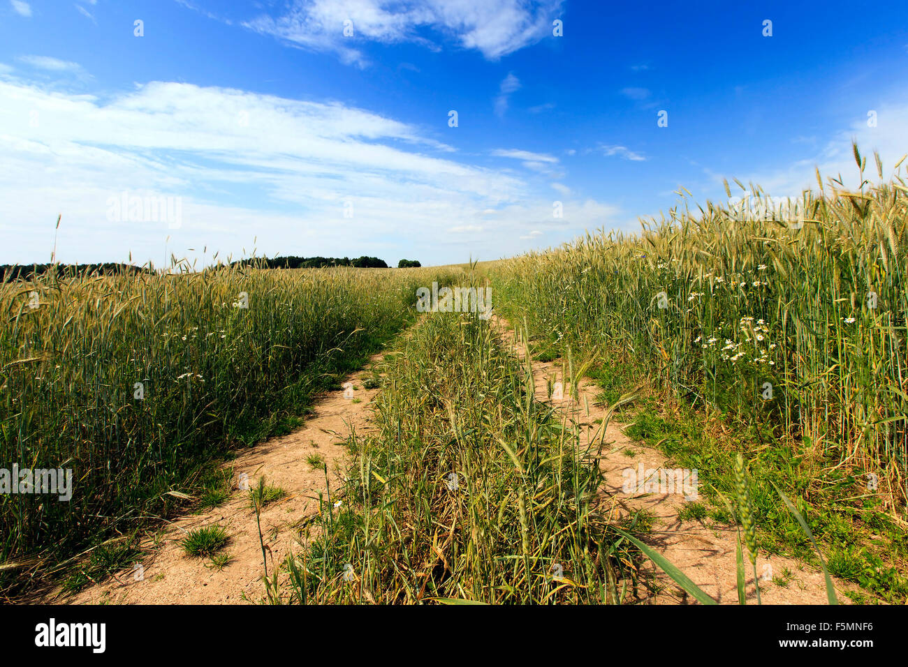 Rural Dirt road Stock Photo - Alamy