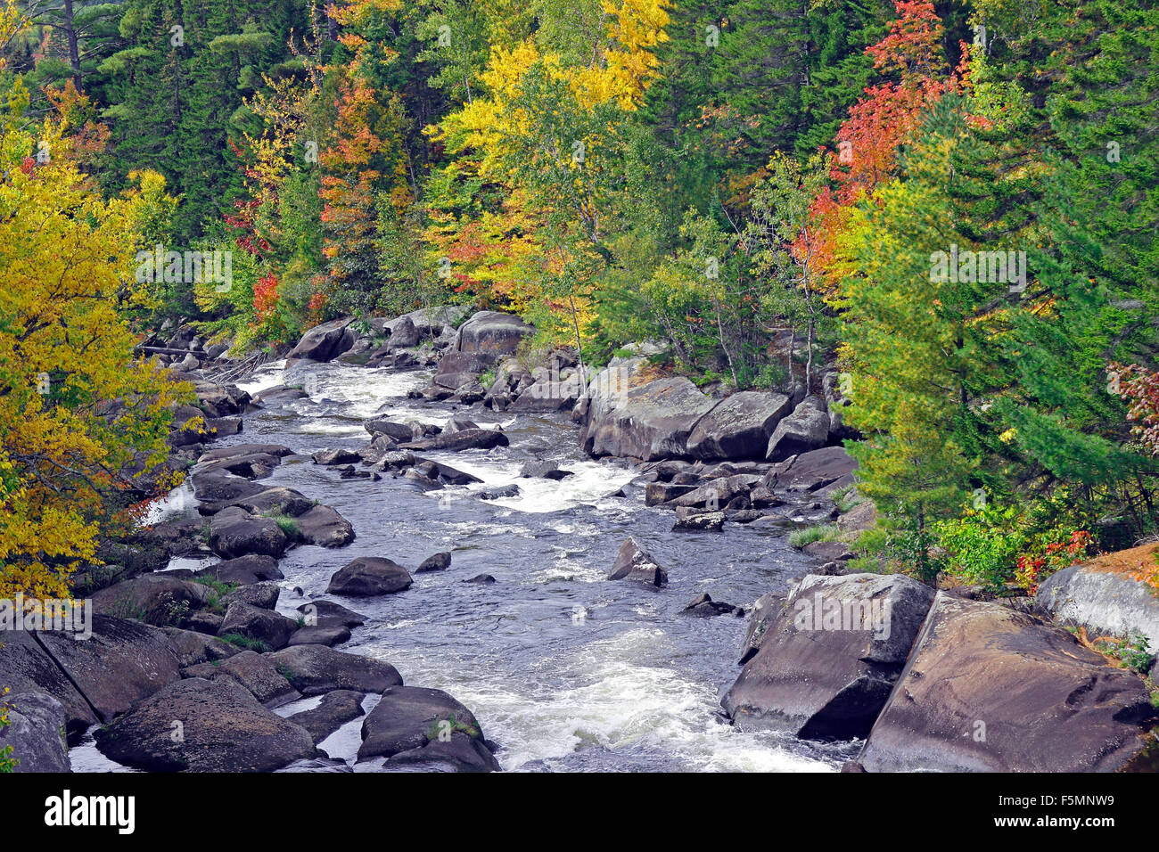 Fall foliage Bear Brook Wilsons Mills Maine New England USA Stock Photo ...