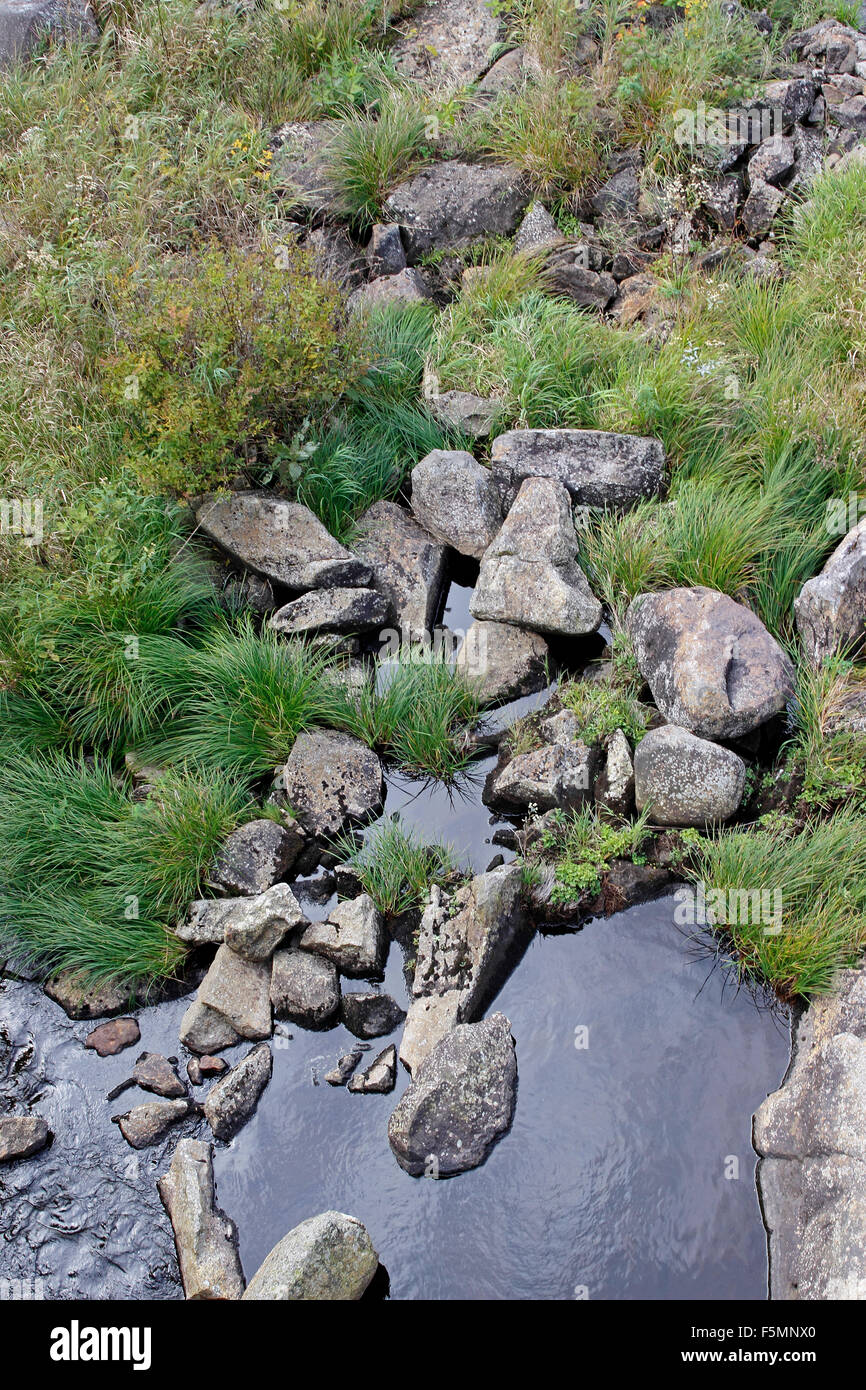Fall foliage Bear Brook Wilsons Mills Maine New England USA Stock Photo ...
