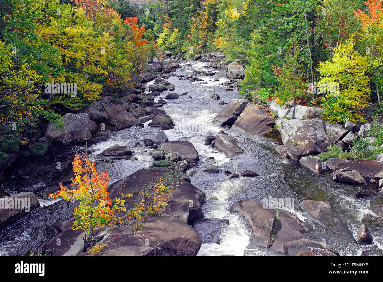 Fall foliage Bear Brook Wilsons Mills Maine New England USA Stock Photo ...