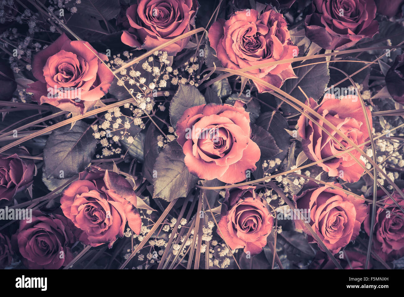 Closeup of beautiful freshly cut red roses bouquet Stock Photo - Alamy