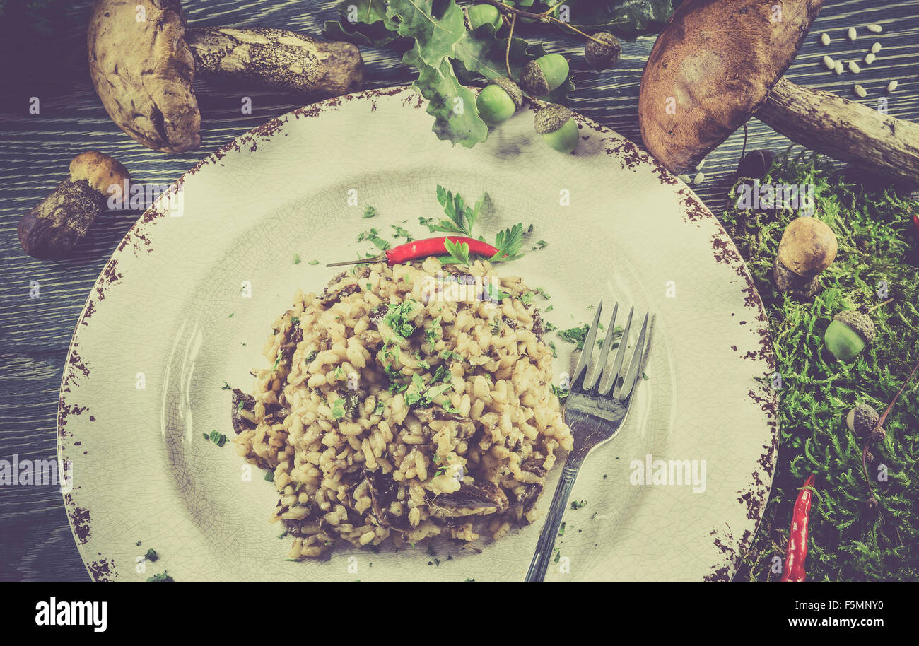Vintage style photo of italian risotto with mushrooms Stock Photo - Alamy