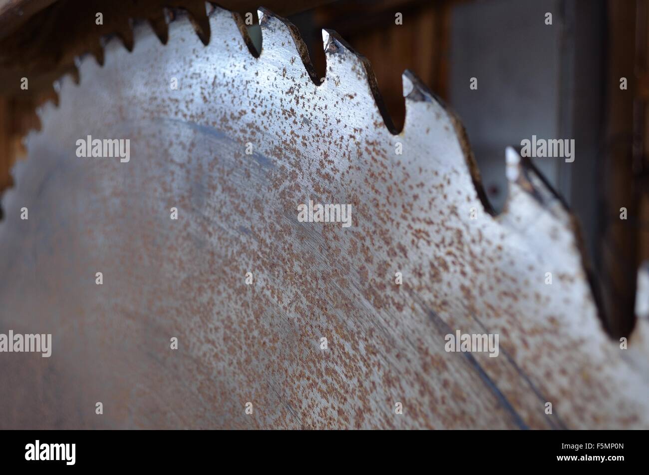 rusted saw blade closeup Stock Photo - Alamy
