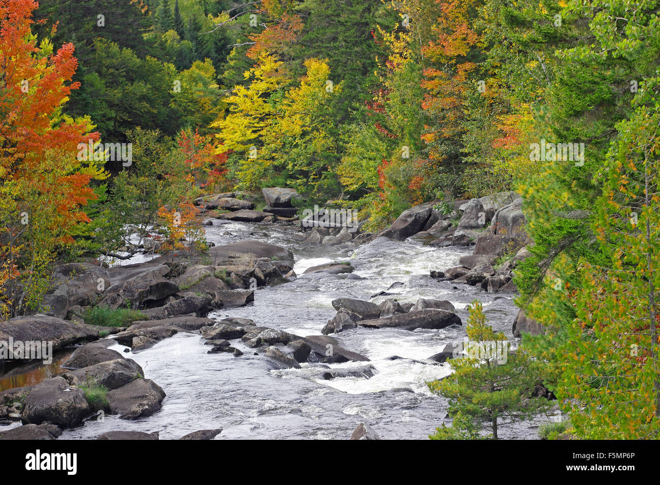 New england maine fall foliage hi-res stock photography and images - Alamy