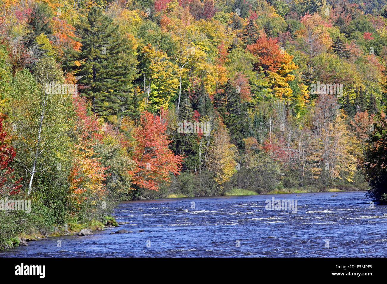 Androscoggin hi-res stock photography and images - Alamy