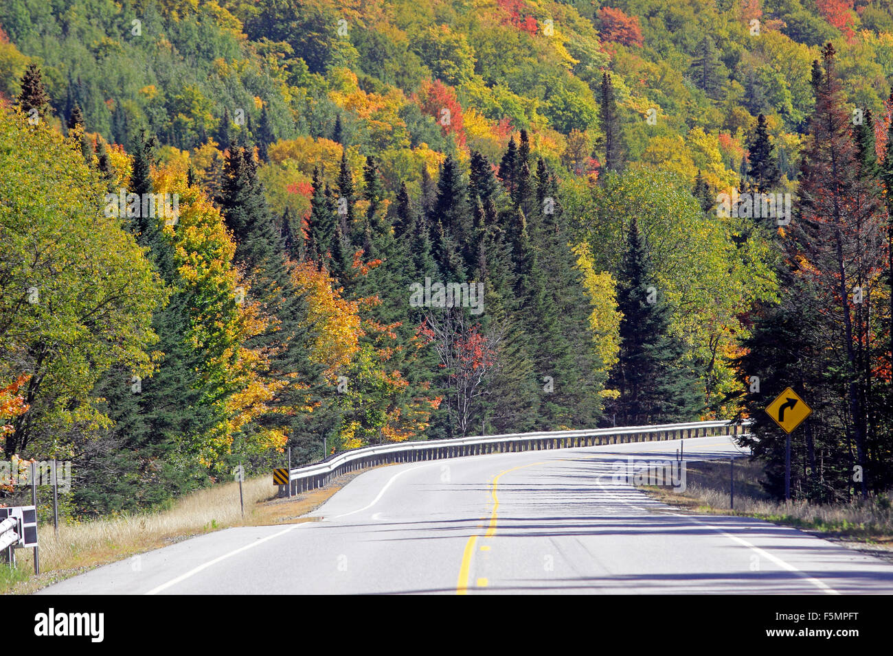Fall Foliage Androscoggin River Coos County New Hampshire New England ...