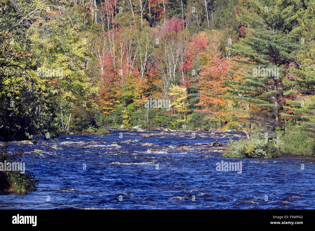 Fall foliage mill river stark hi-res stock photography and images - Alamy