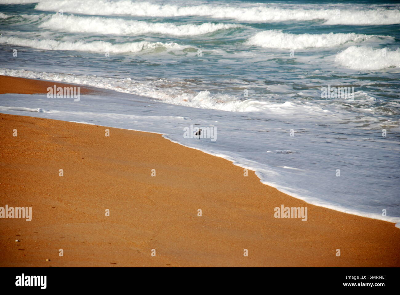 Beach waves florida hi-res stock photography and images - Alamy