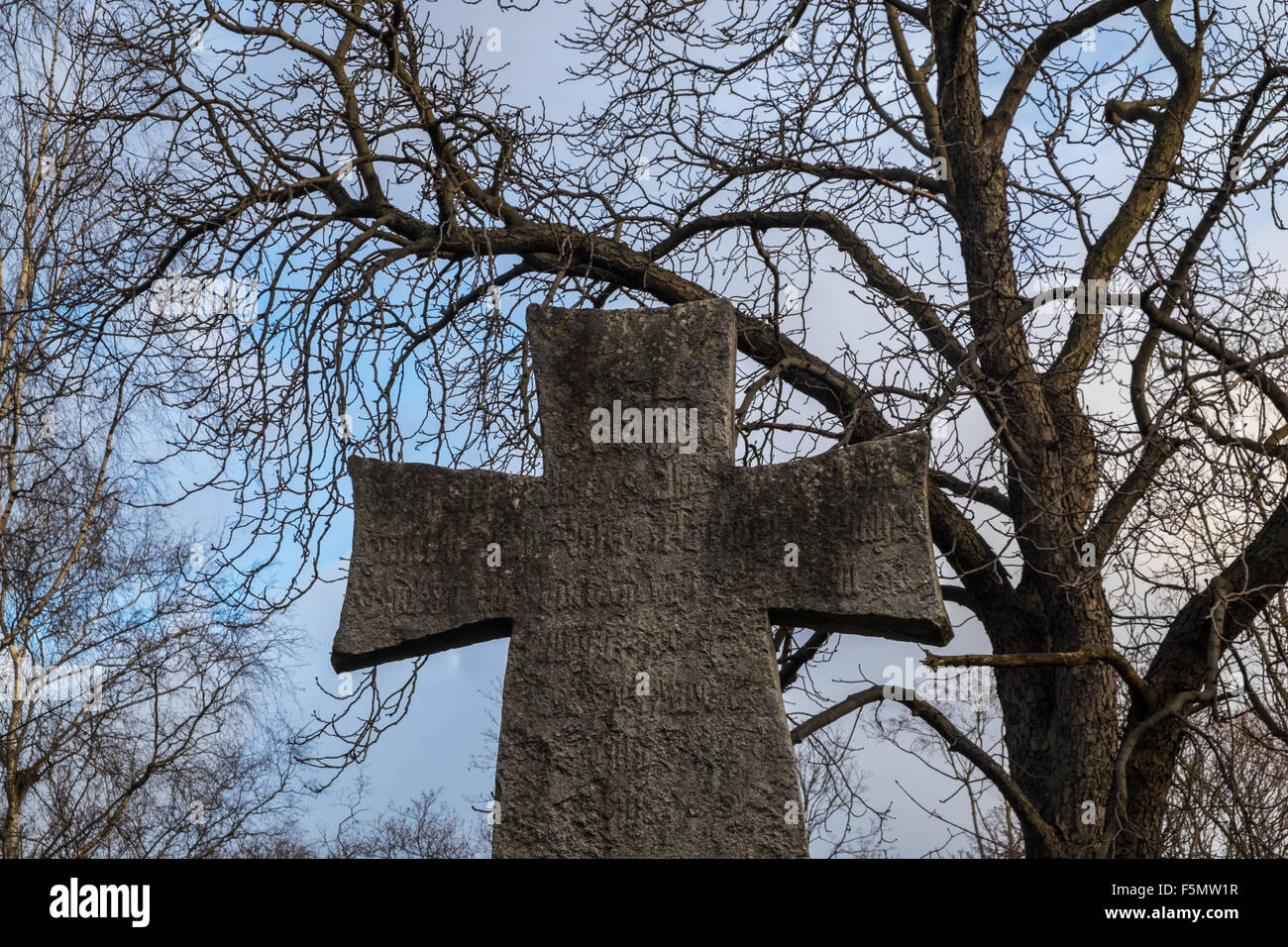 Old stone cross with tree in background Stock Photo - Alamy