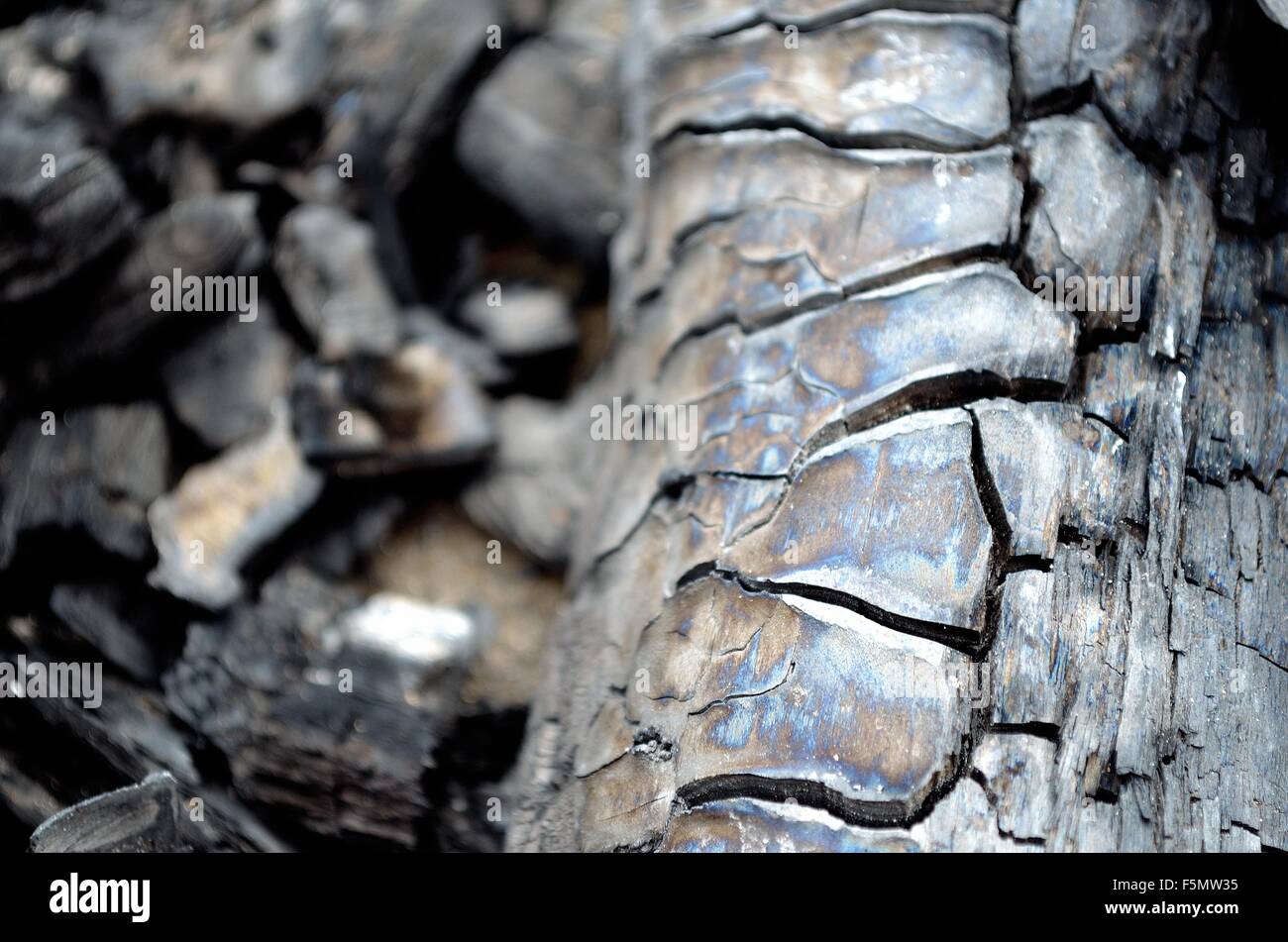old burnt firewood logs in firepit outside in the northern summer macro ...