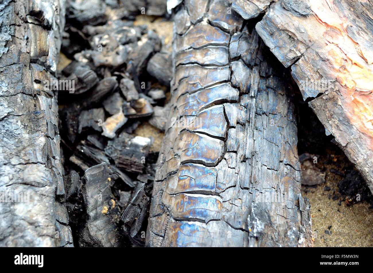 old burnt firewood logs in firepit outside in the northern summer macro ...