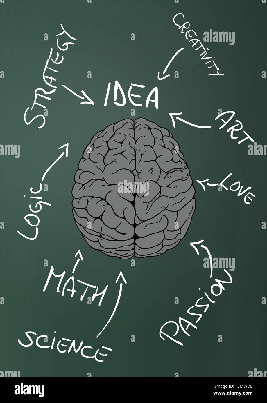 Brain Areas High Resolution Stock Photography and Images - Alamy