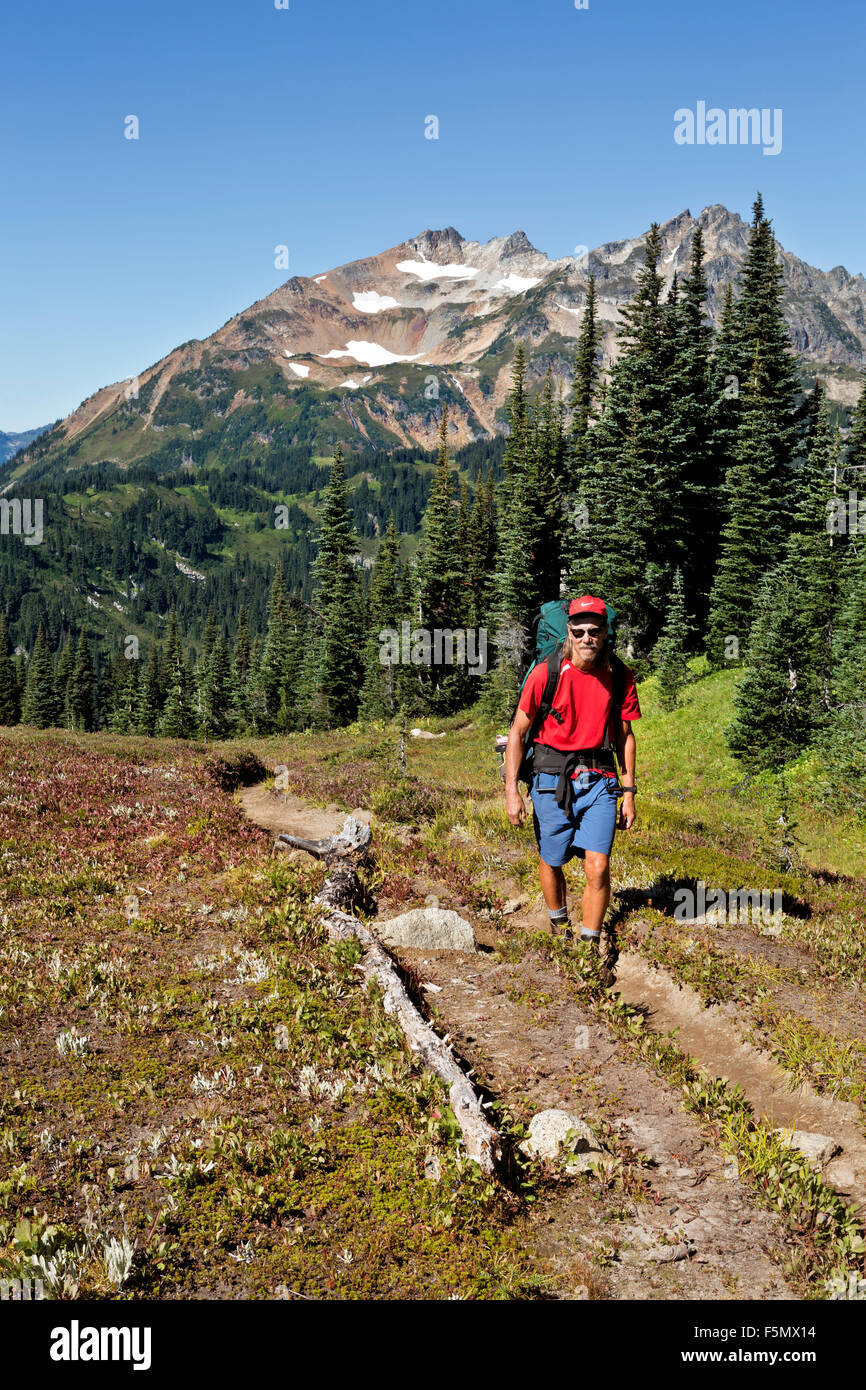WA10863-00...WASHINGTON - Hiker approaching Cloudy Pass with Plummer ...