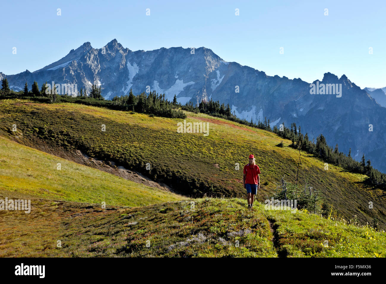 WASHINGTON - Hiker on trail across crest of Liberty Cap with Cirque ...