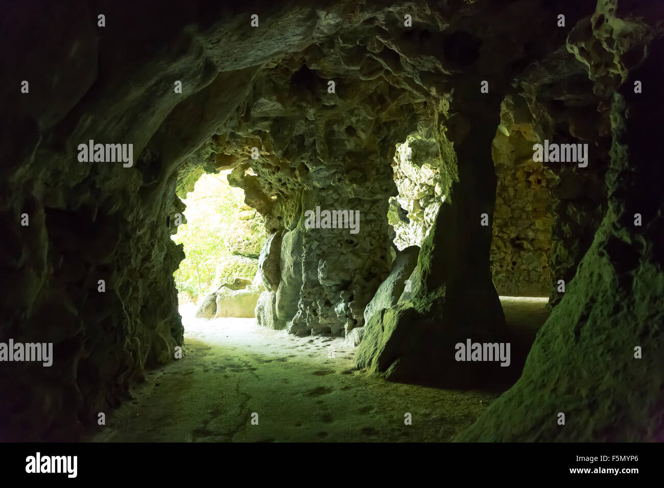 River running in the caves in the forest Stock Photo - Alamy