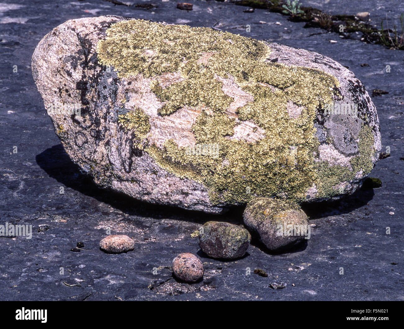Manitoulin dolomite hi-res stock photography and images - Alamy
