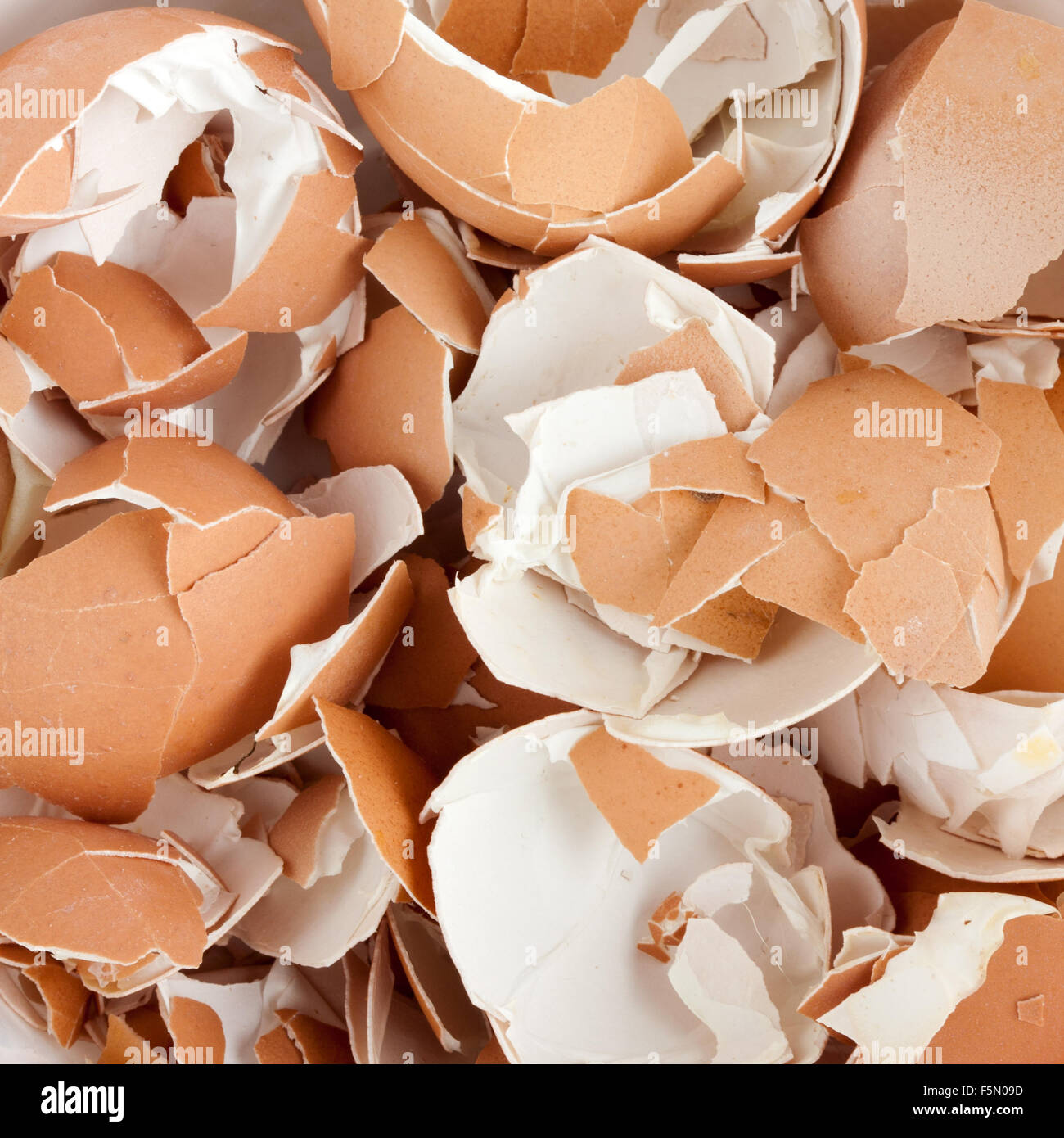 Close-up of eggshell cracks. Background or texture Stock Photo - Alamy
