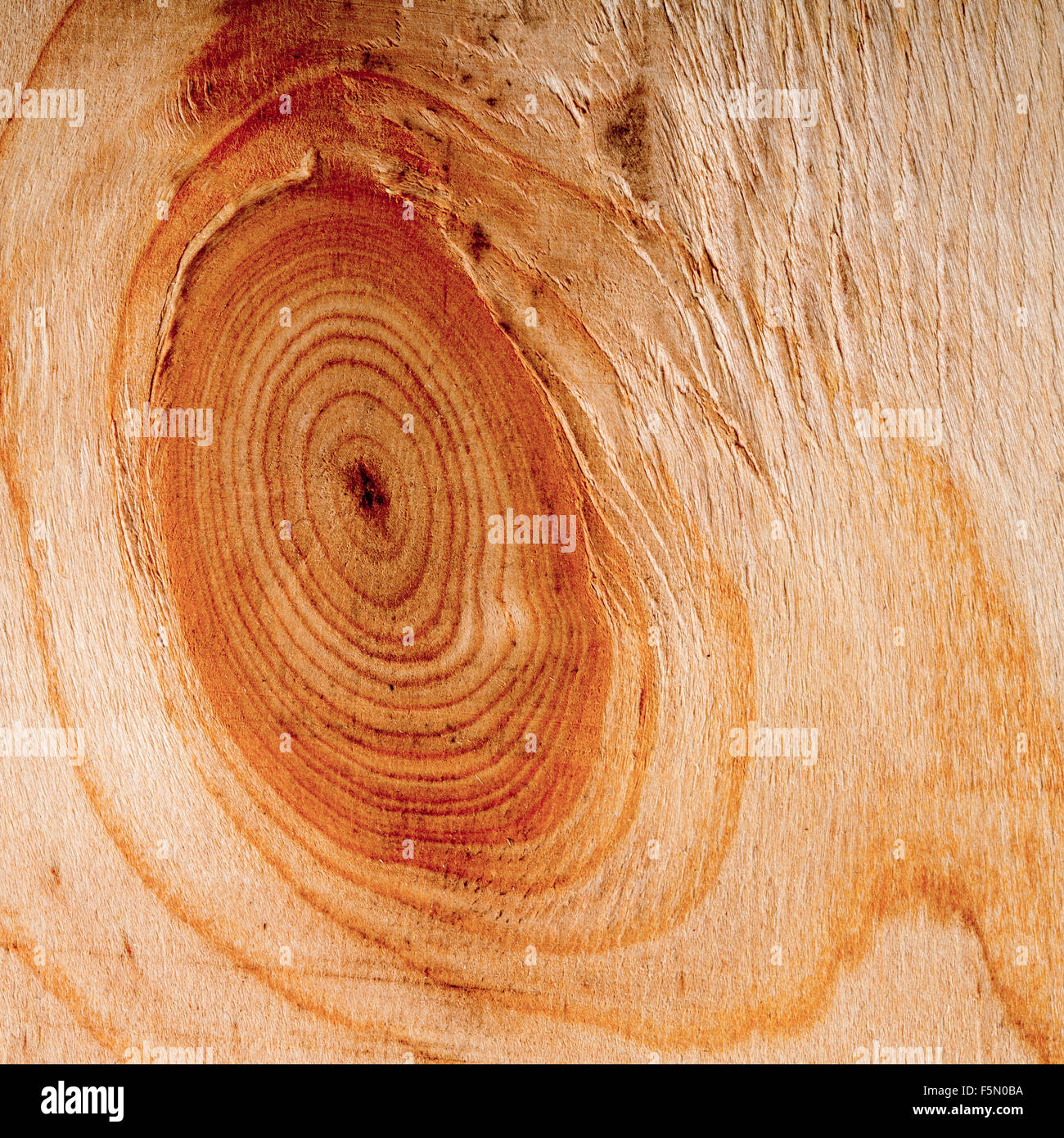 Closeup of golden wood knag Stock Photo - Alamy
