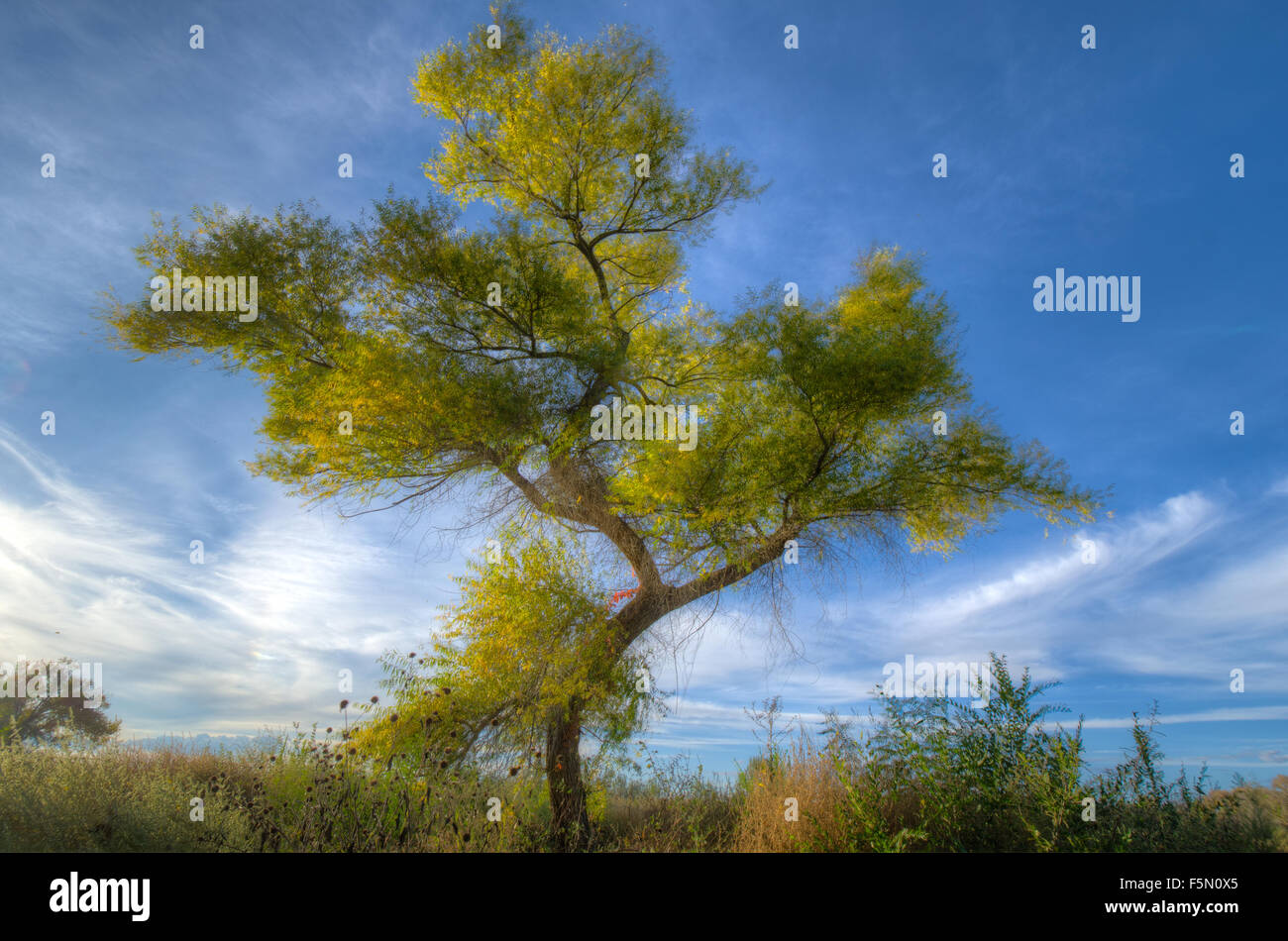 Albuquerque autumn fall hi-res stock photography and images - Alamy