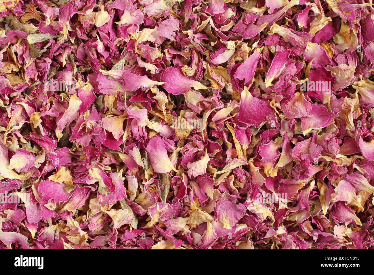 Dry rose petals background Stock Photo - Alamy