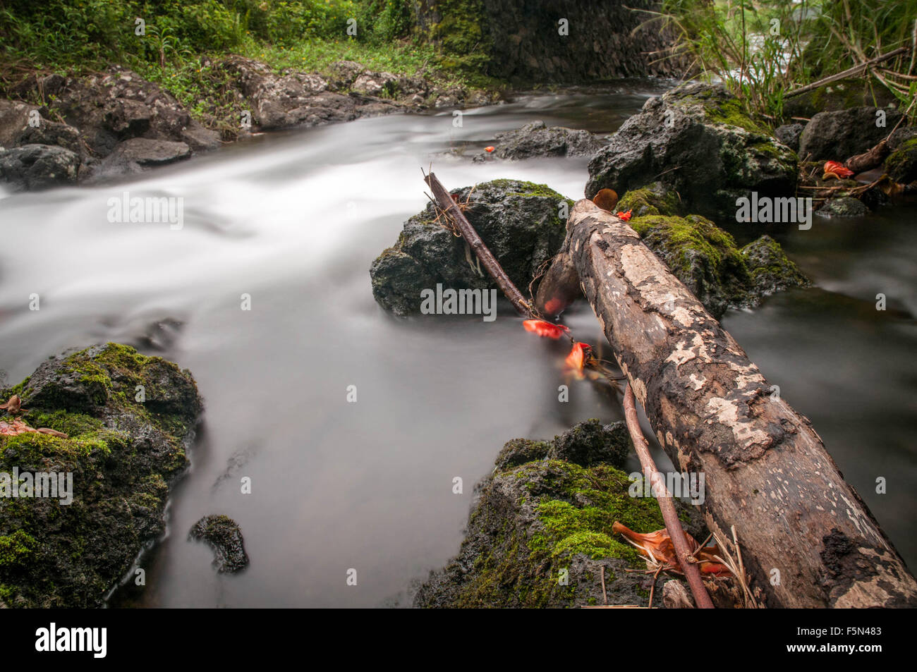 Flowing over log hi-res stock photography and images - Alamy