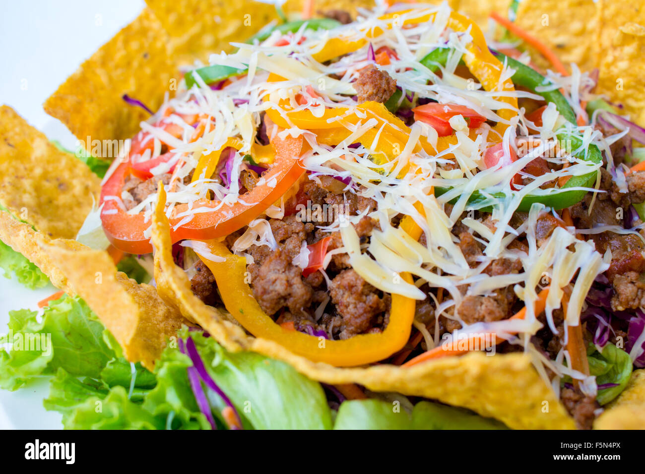 Tacos on a platter with tortillas shot with natural light - mexican ...