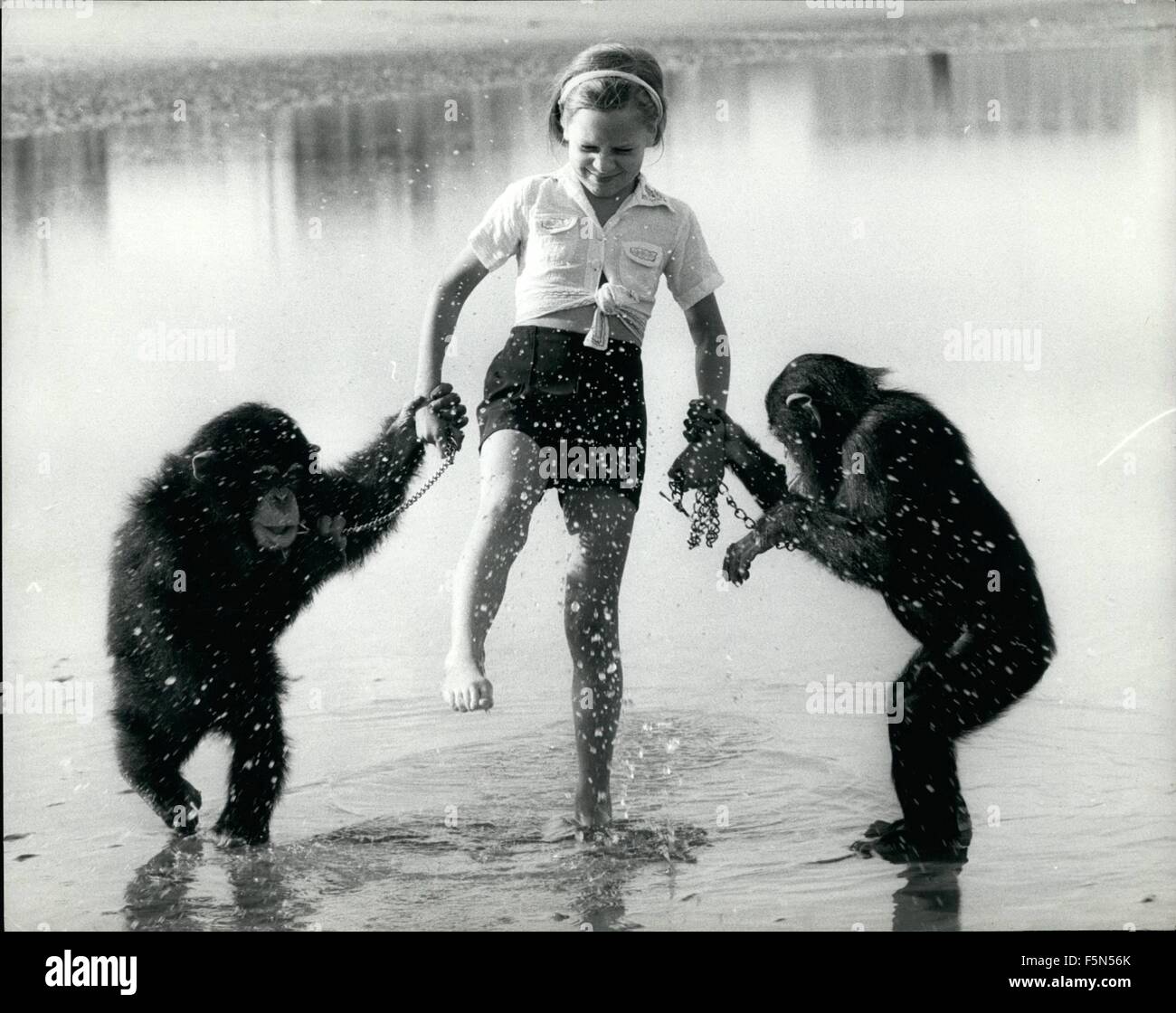 1962 - Chipper field circus chimp frolic in the water with seven year ...